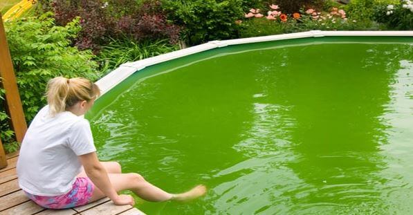 Como tratar água da piscina verde? - Decorando Casas
